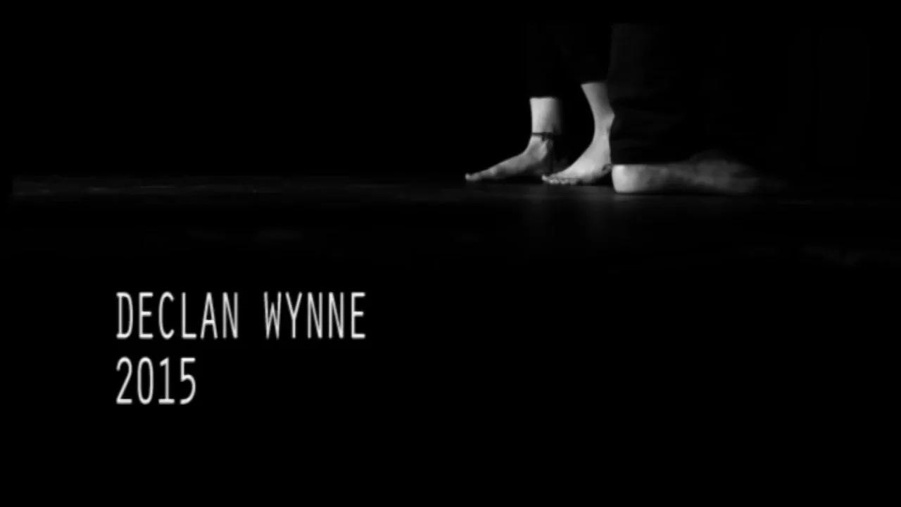 Declan Wynne Showreel 2015 on Vimeo