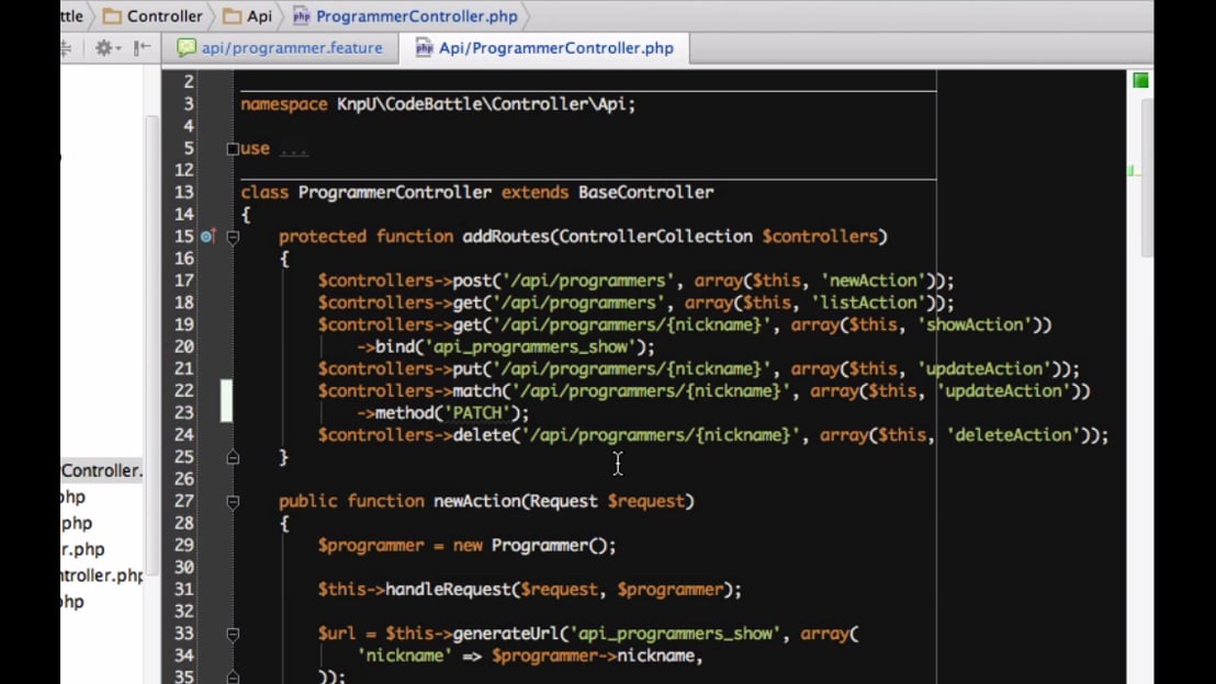 Patch The Other Edit Restful Apis In The Real World Course 1 Symfonycasts