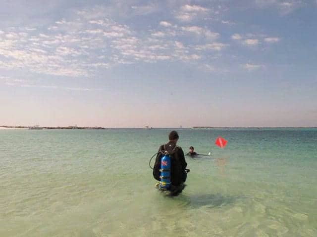 Destin Jetty Dive 3/20/10 on Vimeo