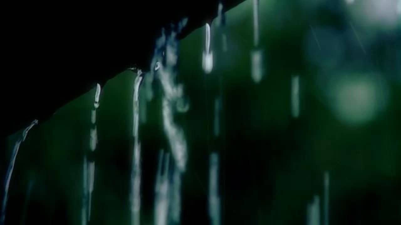 Rain on Vimeo