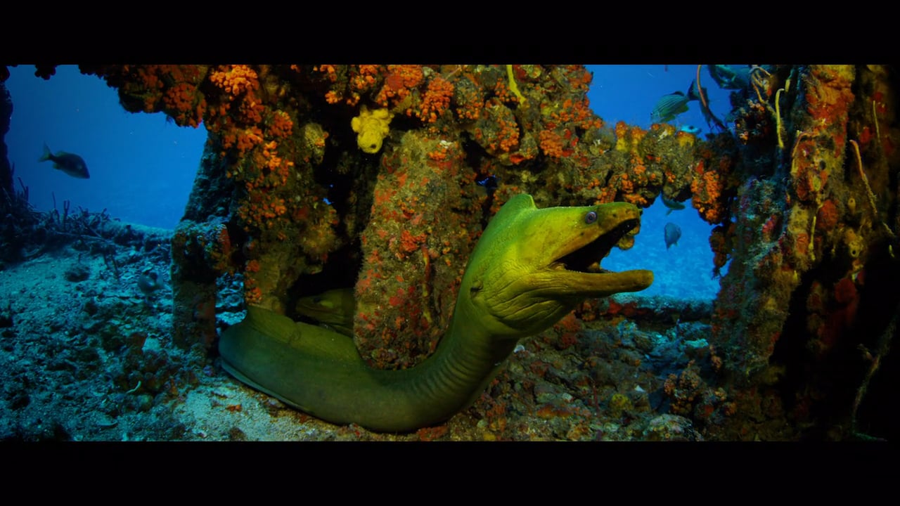 2015 on Vimeo