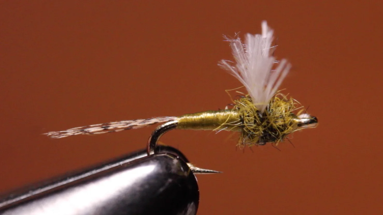 Tuft and Tail Patterns on Vimeo