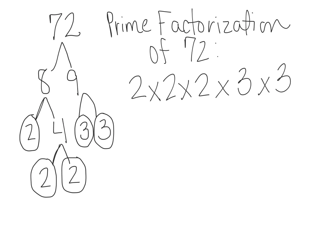 Prime Factorization (Factor Trees) on Vimeo