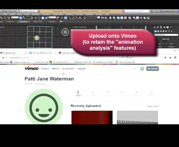 How to Post Animation on Vimeo for Frame by Frame Playback on Vimeo