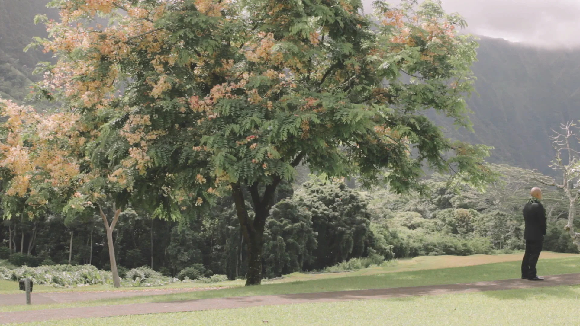 Michelle + Cheyne // Highlight (Ko'olau) on Vimeo