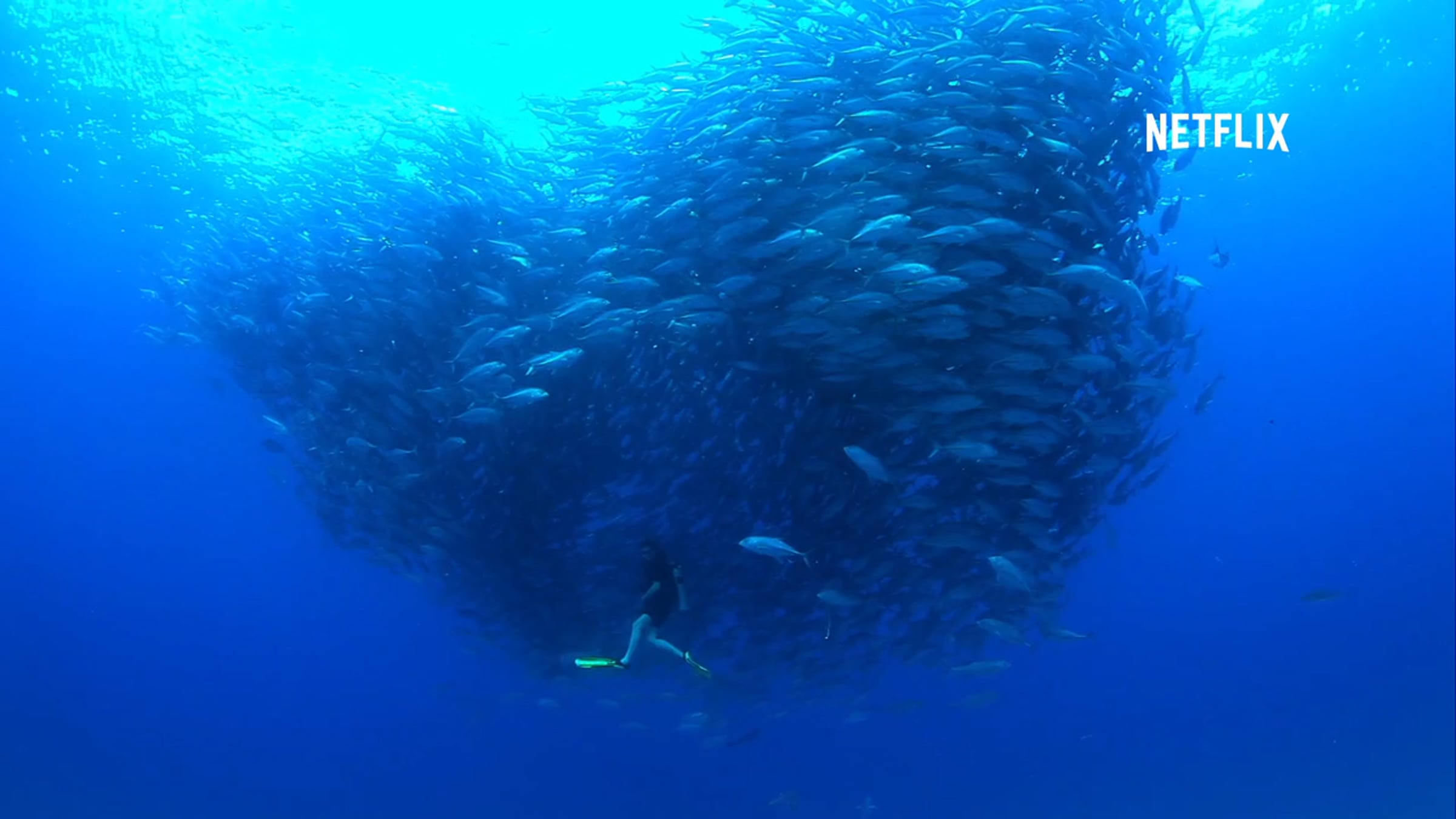 Mission Blue Trailer HD