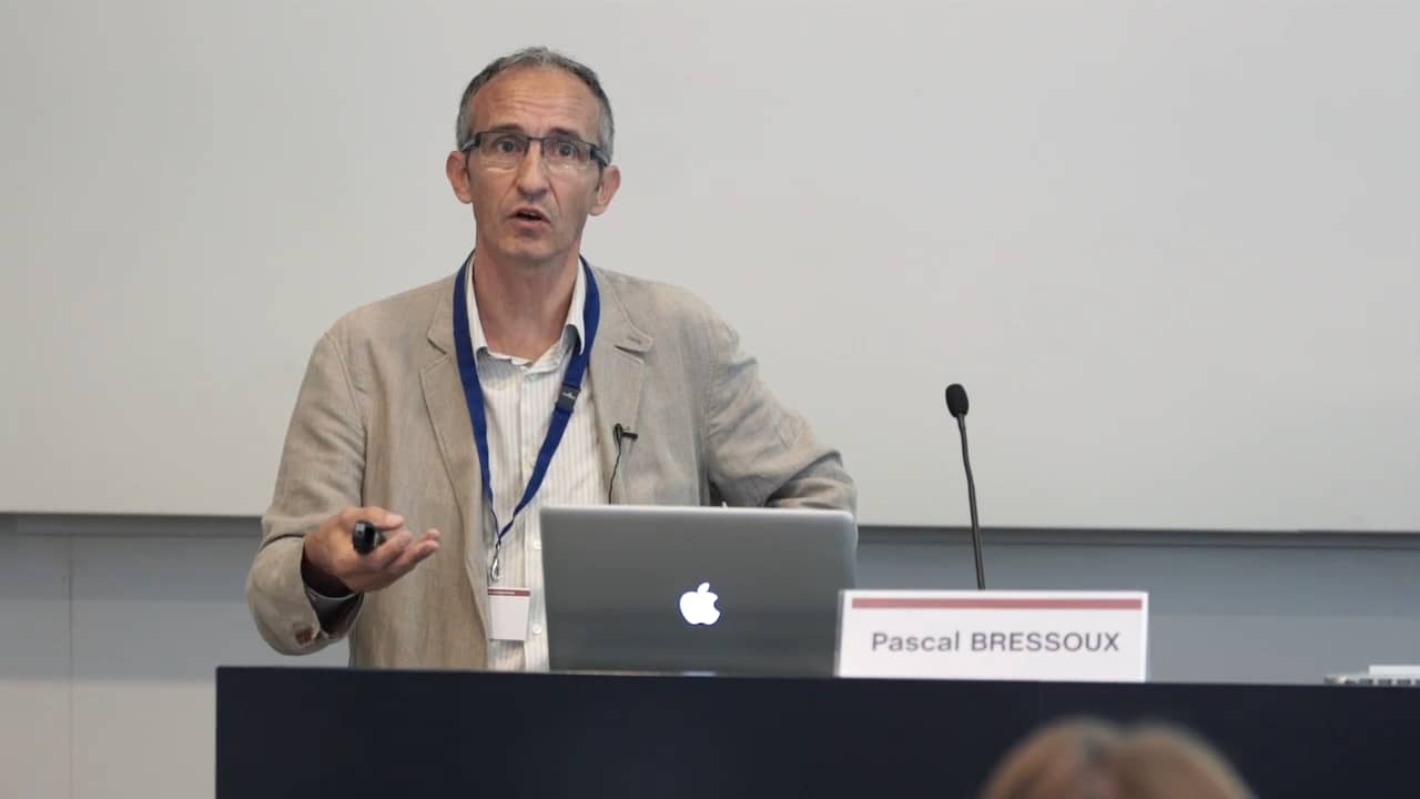 Pascal Bressoux: "L’évaluation des effets des pratiques enseignantes ...