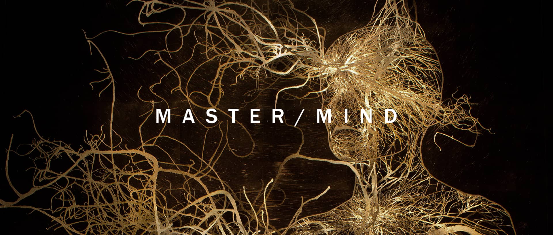 Master/Mind on Vimeo