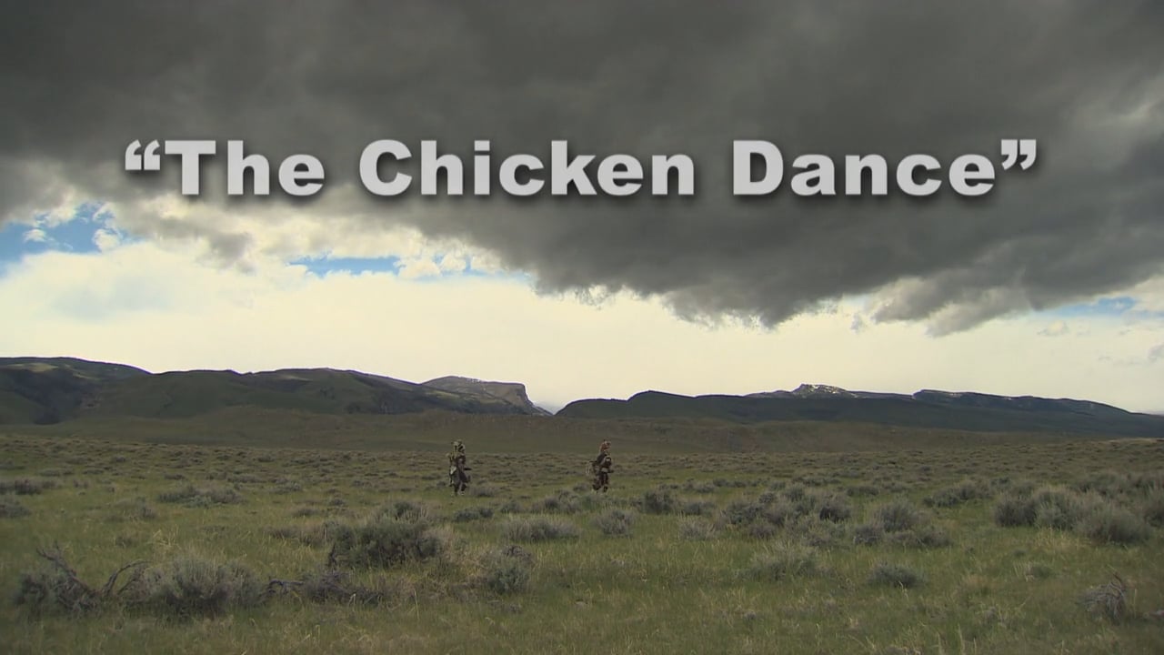 "Chicken Dance" | Videos & Movies on Vimeo