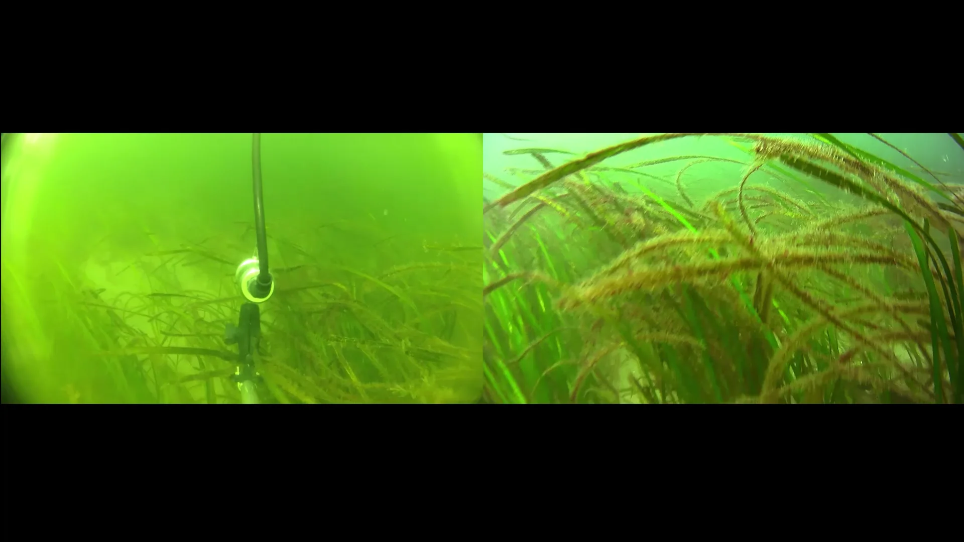 GoPro vs. Delta Vision HD on Vimeo