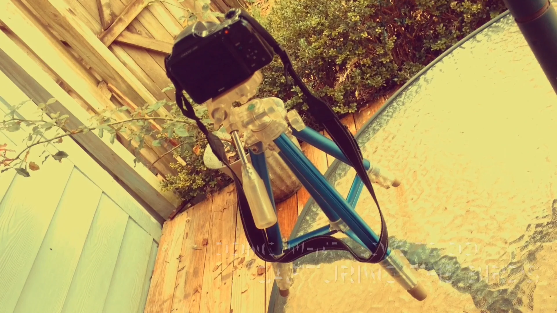 Vimeo-Weekend-Challenge-Morning-Routine on Vimeo