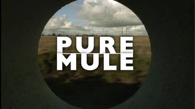 PURE MULE - Promo and Scene (2005) on Vimeo