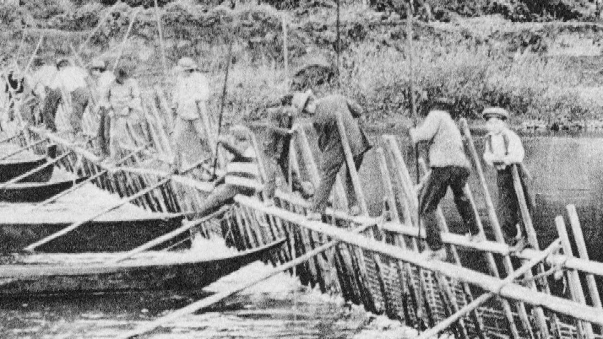 Fred Roland on Vimeo