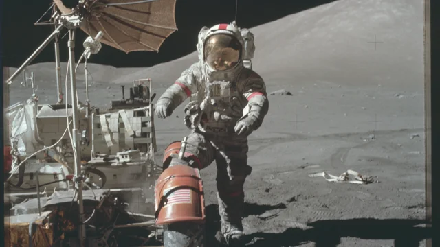 Apollo Astronauts Moon Pigeons