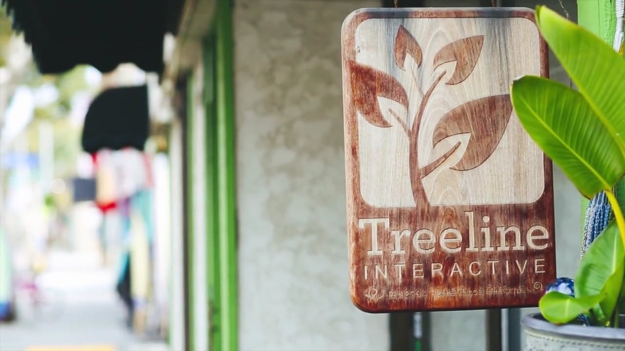 Treeline Interactive: Who We Are on Vimeo