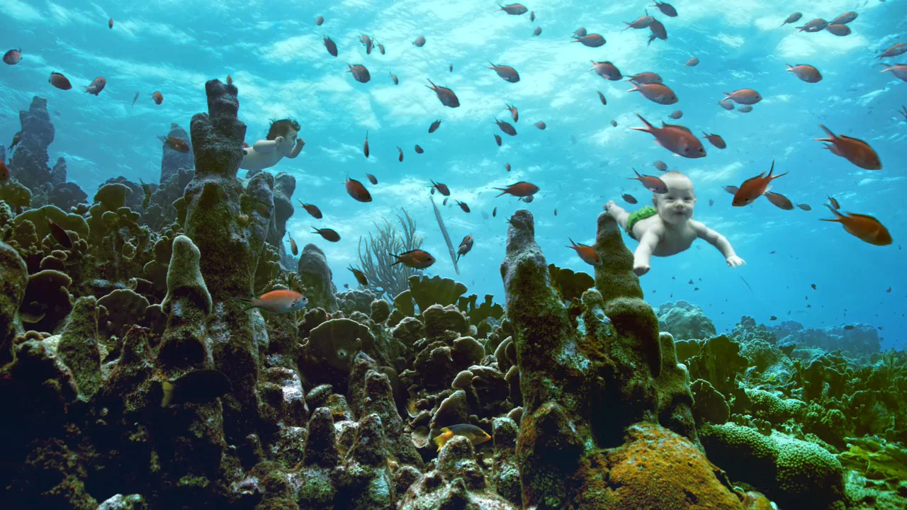 Libero - "A Cleaner Ocean"