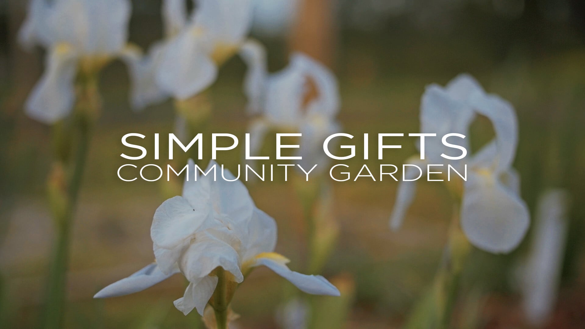 Simple Gifts Community Garden on Vimeo