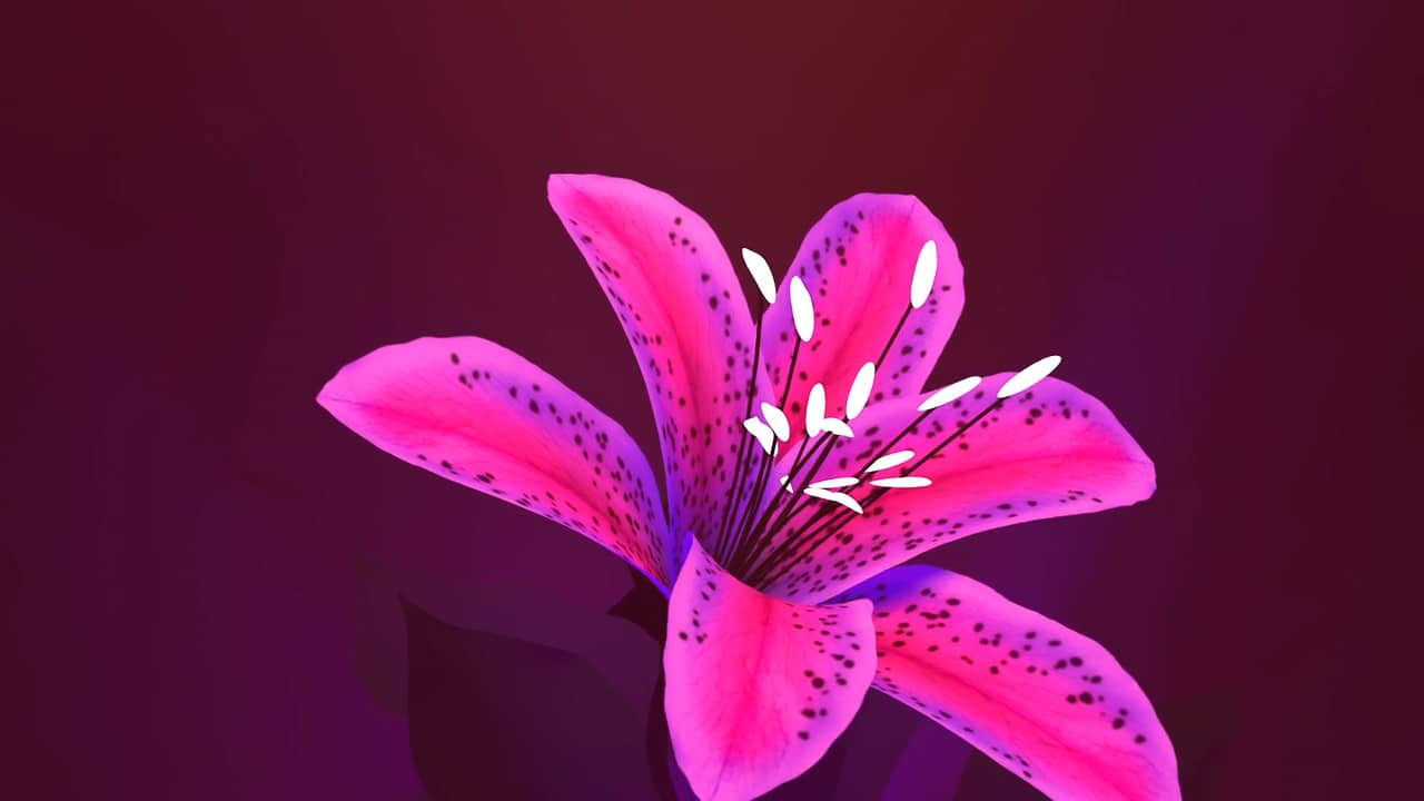 Rave Flower on Vimeo
