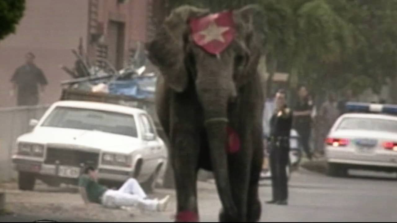 Tyke Elephant Outlaw Trailer 2015 on Vimeo