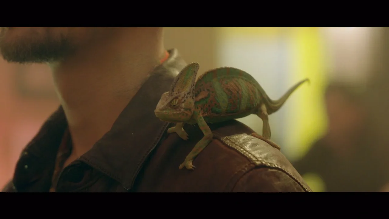 BETFAIR : MR. CHAMELEON on Vimeo