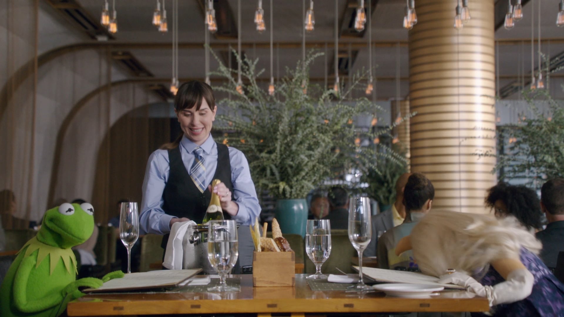 Kermit Gets Set Up on Vimeo