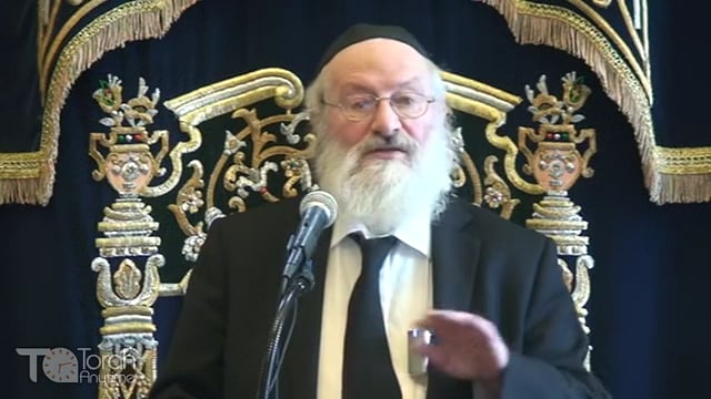 14468-1000k-Moshe__Heinemann__07_04_2011 ...