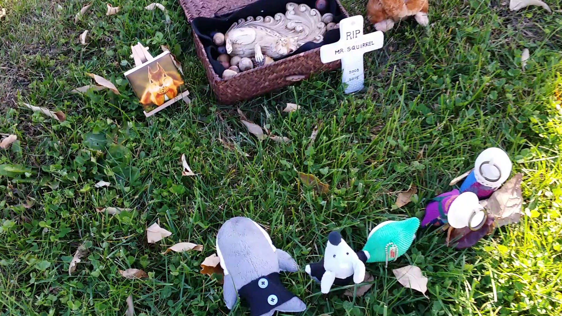 Squirrel Funeral, 2015 on Vimeo