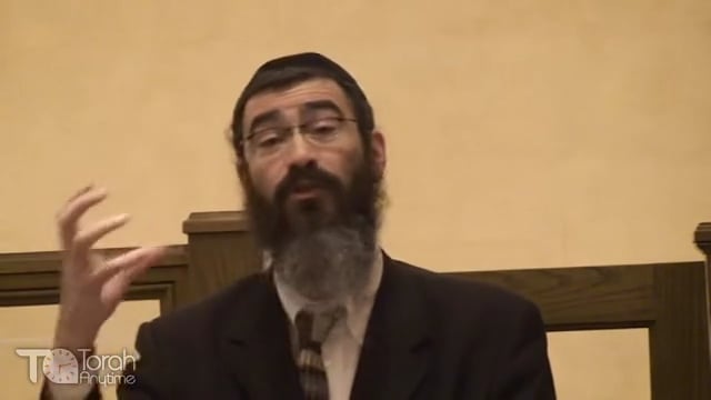 15172-1000k-Shmuel__Skaist__11_04_2008 ...