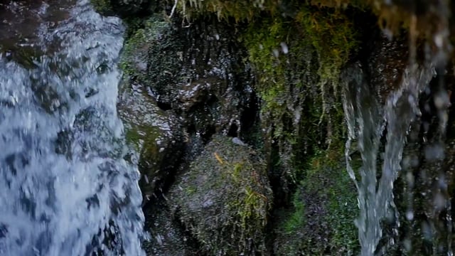 Water Dripping Videos: Download 9,976+ Free 4K & HD Stock Footage Clips ...