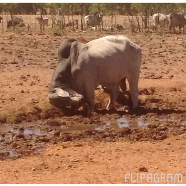 PLB Contract Mustering 2015 on Vimeo