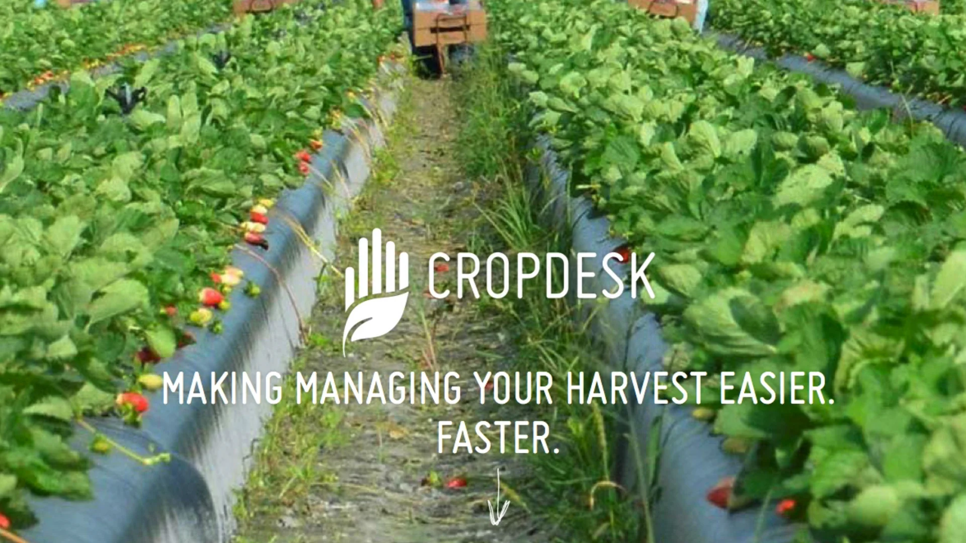 Tutorial video for setting up cropdesk.com admin for your farm on Vimeo
