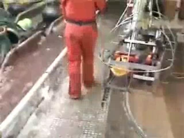 Sampling bacteria — Science Learning Hub