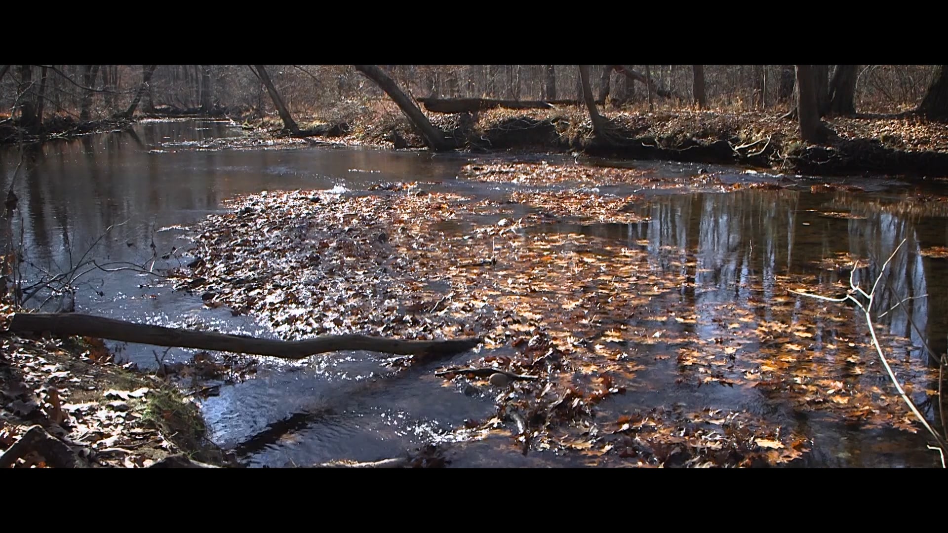 Alphabet Johnson on Vimeo