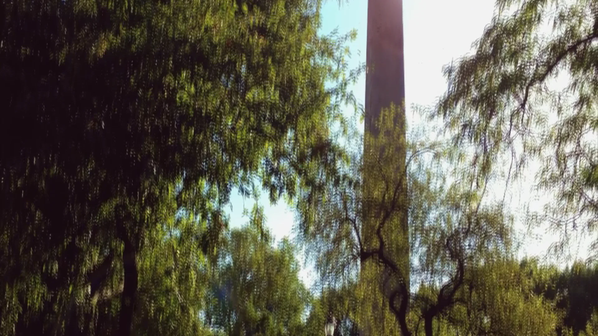 Deborah Wearing Enters video draft 1 on Vimeo