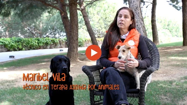 En Qué Pueden Ayudar Los Perros De Terapia