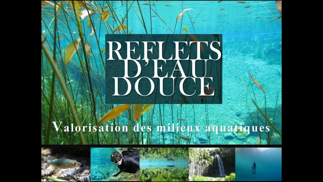 Reflets d'eau douce on Vimeo