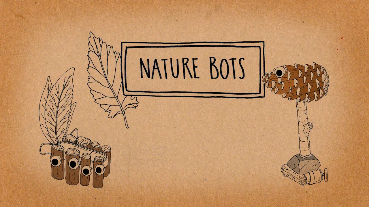 Nature Bots on Vimeo