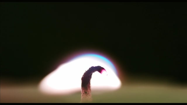 400+ Free Candles & Candle Videos, HD & 4K Clips - Pixabay