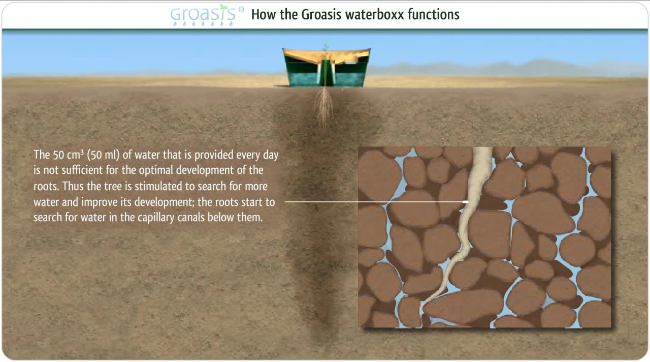How does the Groasis waterboxx work against desertification on Vimeo