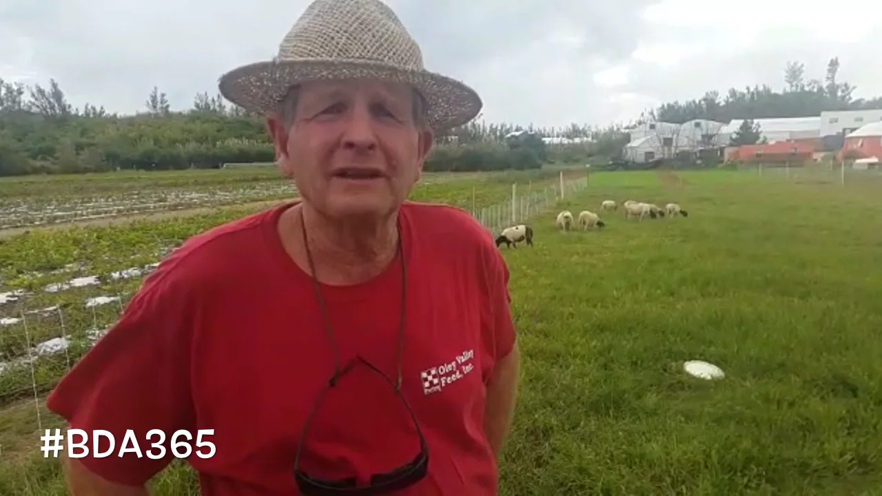 #BDA365: Wadson Farm on Vimeo