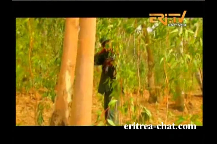 New Eritrean Movie – Tsinat Ab Metkel – Part 4 – EriTV