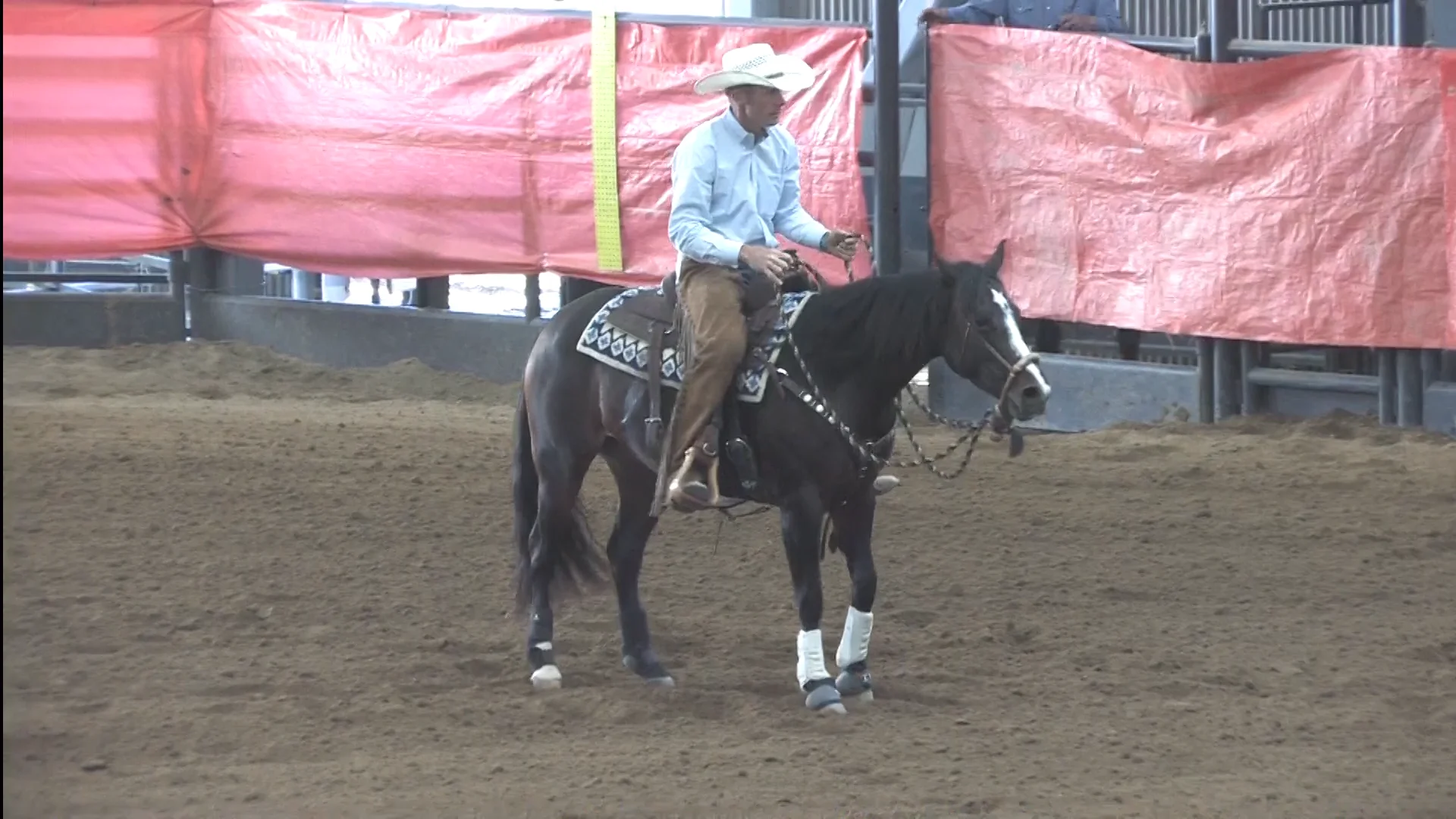 FOXY LITTLE REMEDY - 2015-10-10 - MRCHF Open Hackamore #1 - Jeremy ...