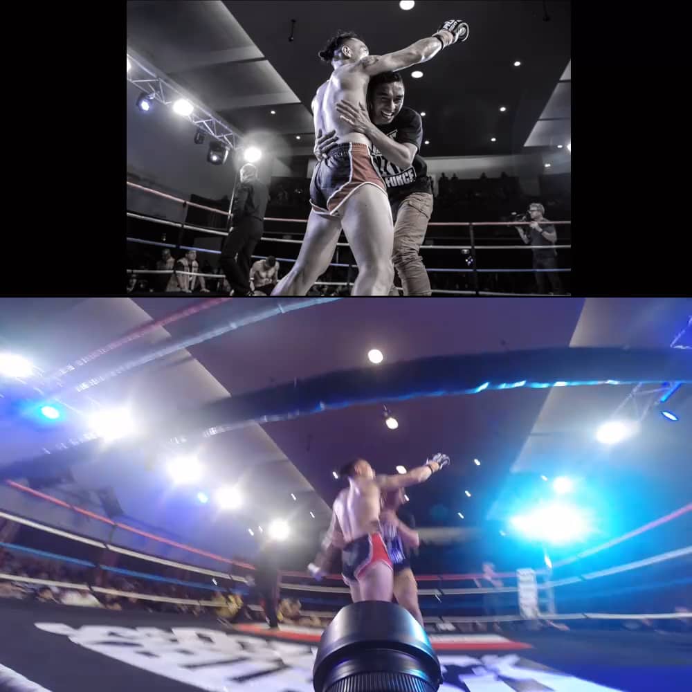 Alpha Fight Series on Vimeo