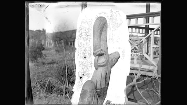 Rāhui Pōkeka — Science Learning Hub