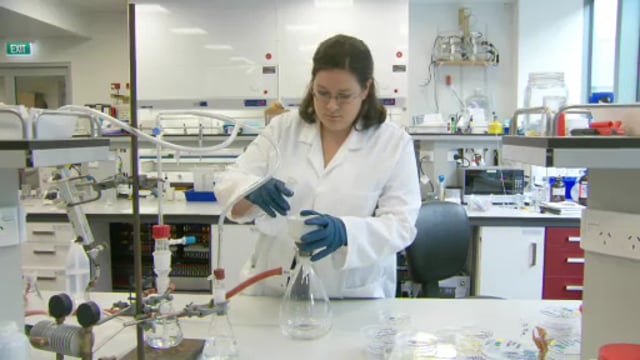 Lab biomineralisation 2 — Science Learning Hub
