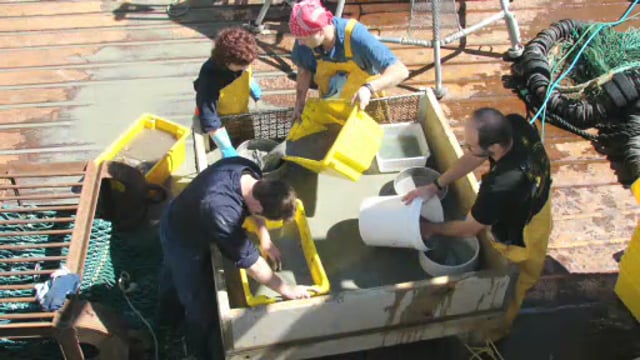 Sampling cold seep communities — Science Learning Hub