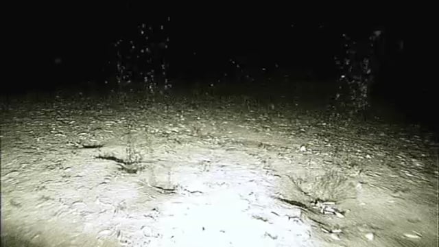 Cold seeps explained — Science Learning Hub