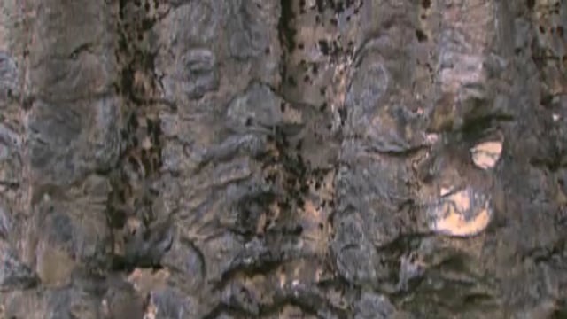 Features of the karst landscape — Science Learning Hub