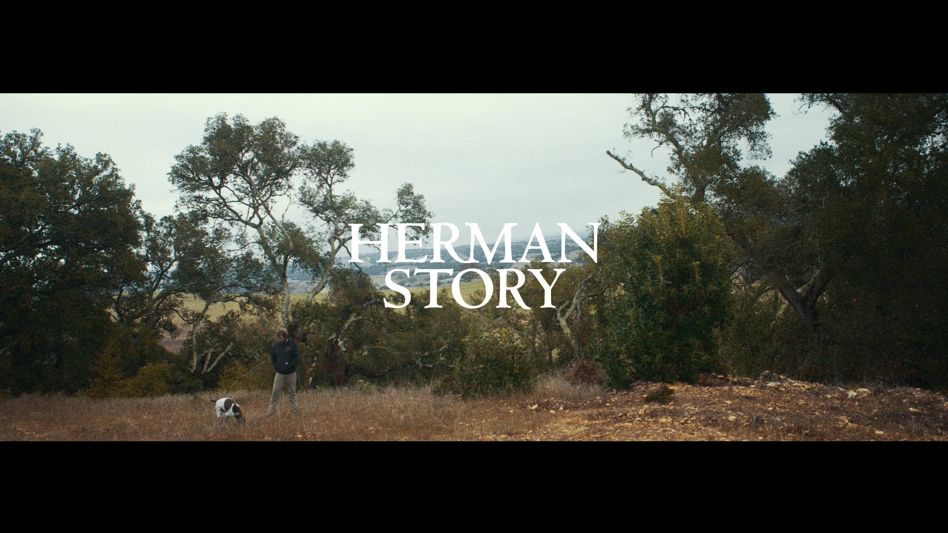 Herman Story Wines - "Consultant" on Vimeo
