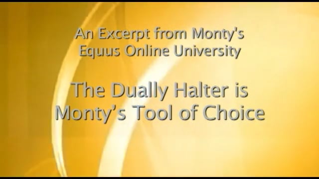 Learning the Dually Halter on Vimeo
